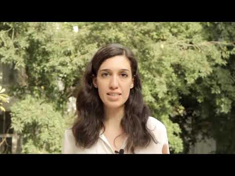 Plastikten Kurtul, Oltaya Gelme! Türkiye'deki Deniz Canlılarında Mikroplastik Kirliliği Raporu