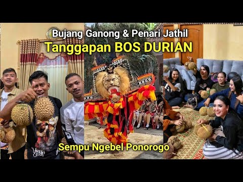 Tanggapan Kesenian REOG PONOROGO di Sempu Ngebel ‼️Wisata Durian - YouTube