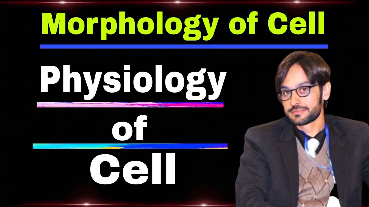 Morphology and Physiology of Cell | MLT Hub with kamran - YouTube