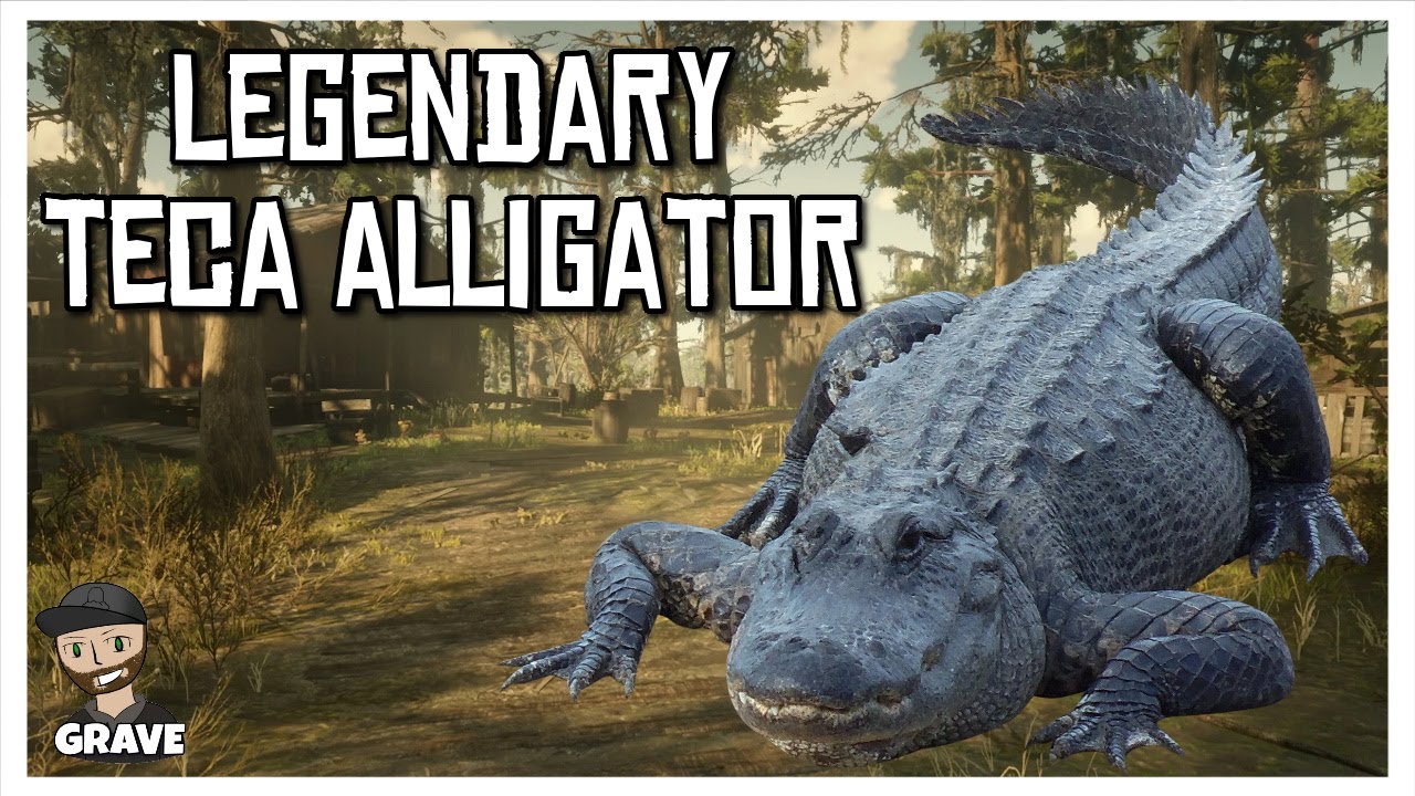 🐊Legendary Teca Alligator Location | Red Dead Online - YouTube