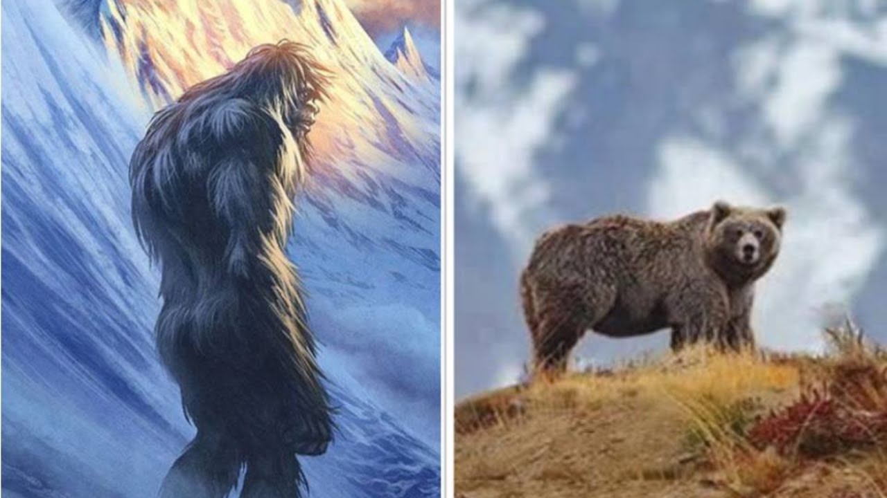 A VERDADE SOBRE A LENDA DO ABOMINÁVEL-HOMEM-DAS-NEVES! CONHECIDO TAMBÉM ...