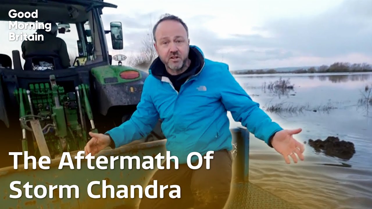 Watch the moment GMB reporter takes part in flood rescue live on air ...