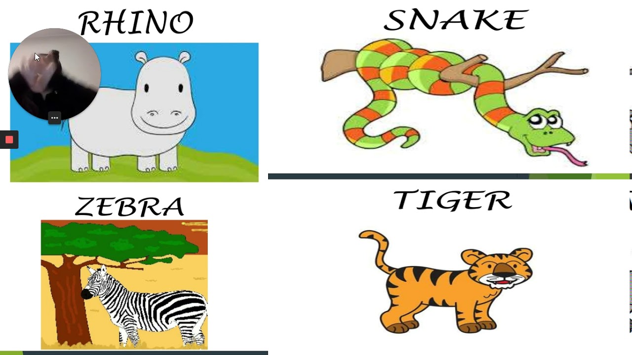 Animals of sea,jungle and farm - YouTube