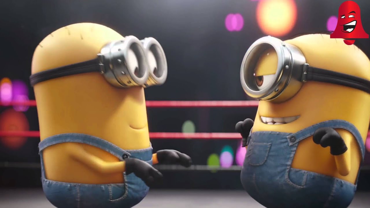 Funny Minion Boxing Match - Laughter Guaranteed - YouTube