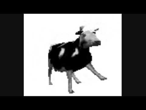 Krowa tańczy Cypis - Gdzie jest biały węgorz - YouTube