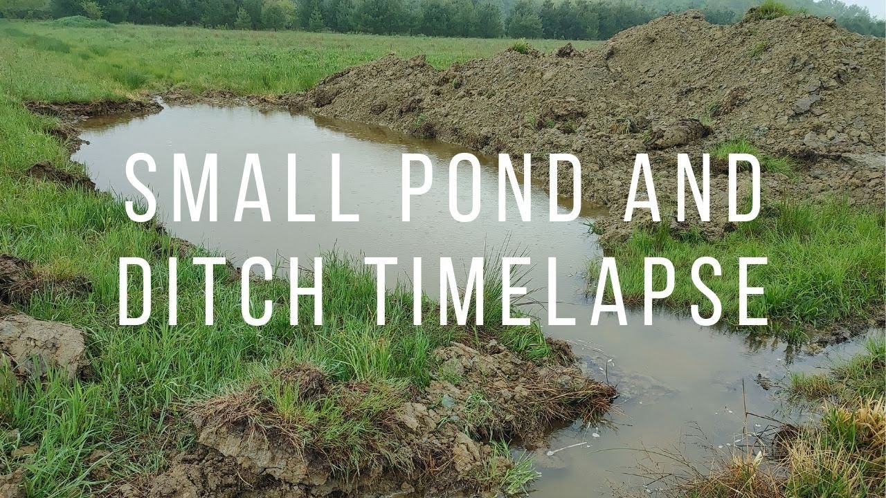 Pond and Ditch time lapse 2 MINUTE VIDEO - YouTube