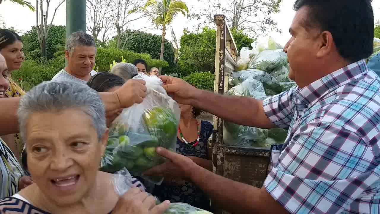 Modulo Peñitas entrega fruta en la comunidad de Tepames Colima - YouTube