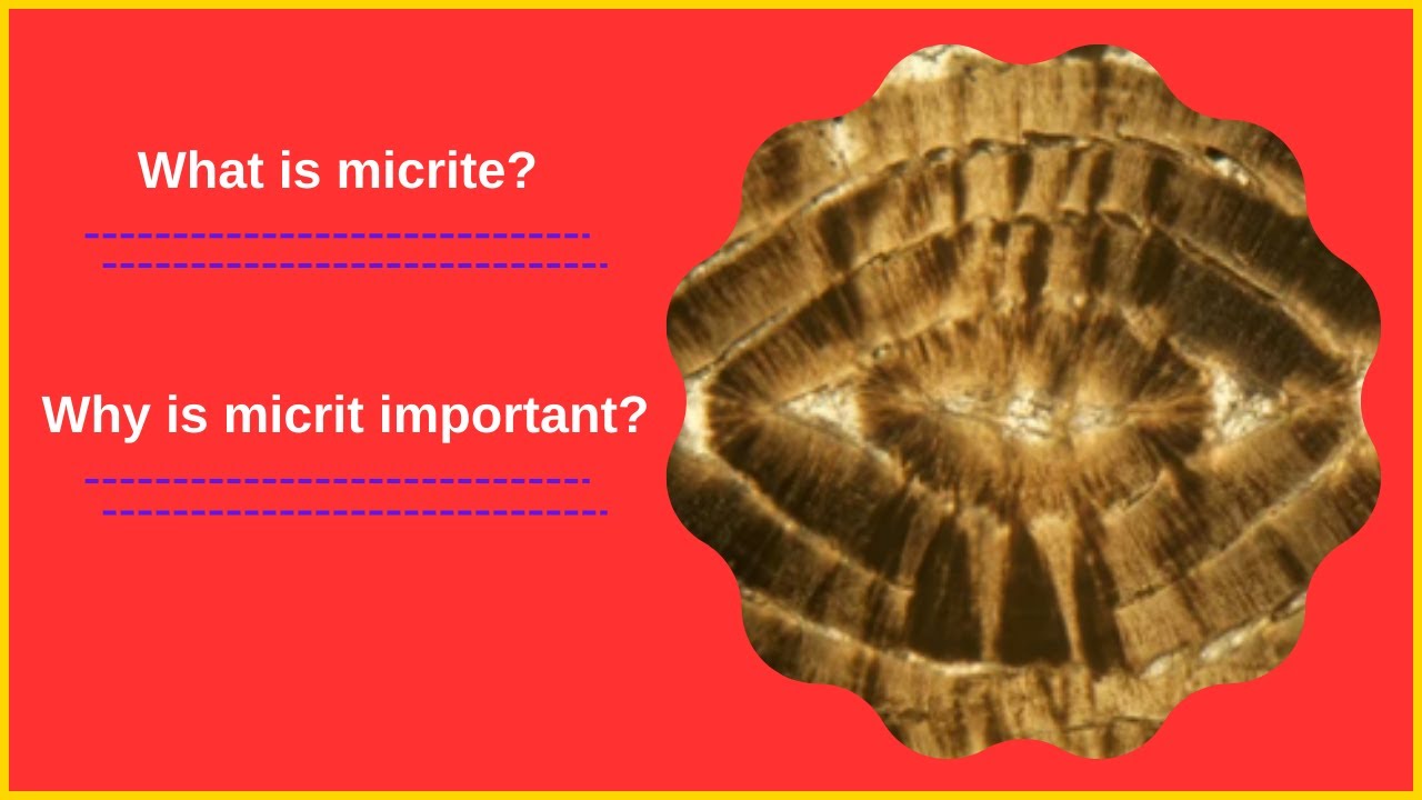 What is micrite? Why is micrit important? - YouTube