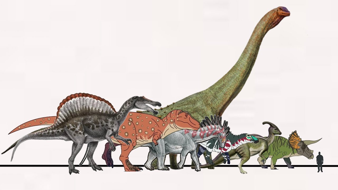 Comparación De Tamaños De Dinosaurios Con El Ser Humano - YouTube