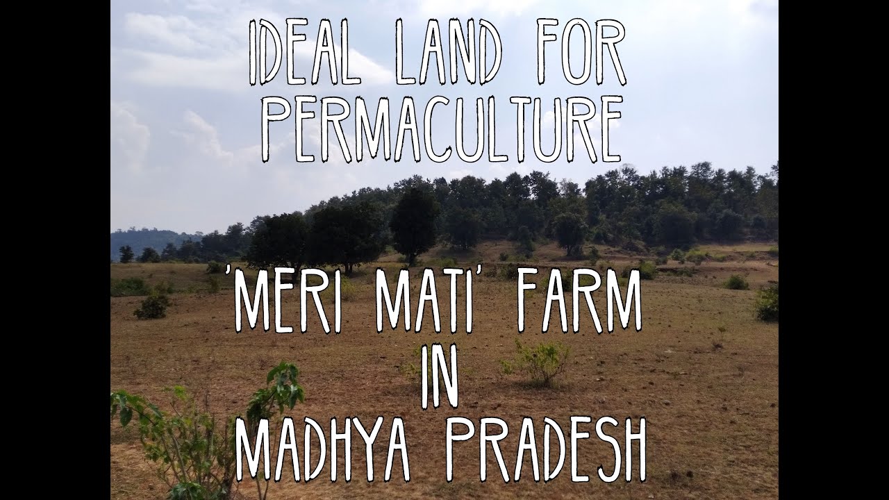 Ideal Land For Permaculture - 'Meri Mati' Farm In Madhya Pradesh - YouTube