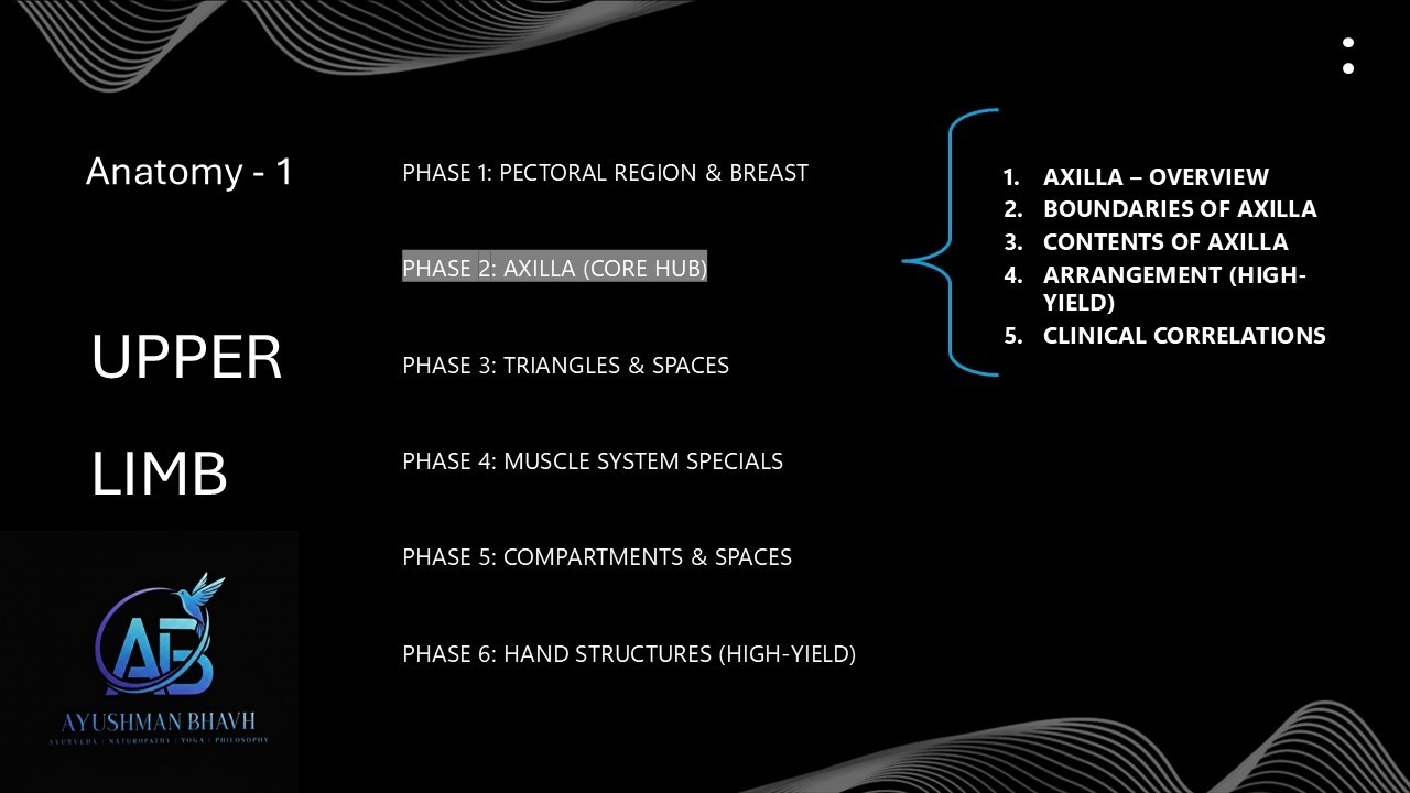 PHASE 2 AXILLA CORE HUB |anatomy-2| for bnys, bams,mbbs - YouTube