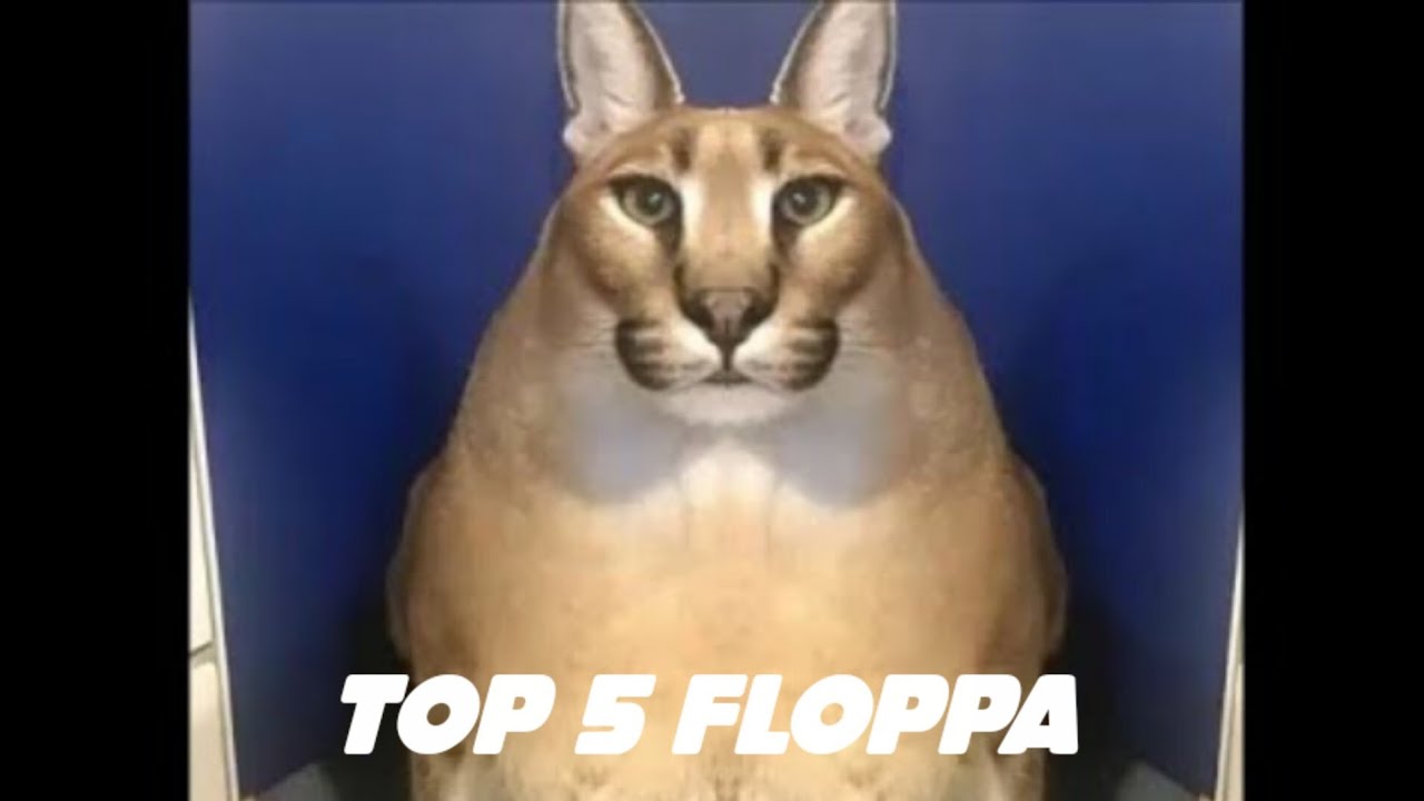 Top 5 floppa ( floppa Vs cat , floppa sad , floppa baby ) - YouTube