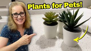 https://urlvue.com/r/B0BHYWZ1SX-yt-swdd9 #3pcs Potted Cactus Artificial Succulents Safe for Pets?