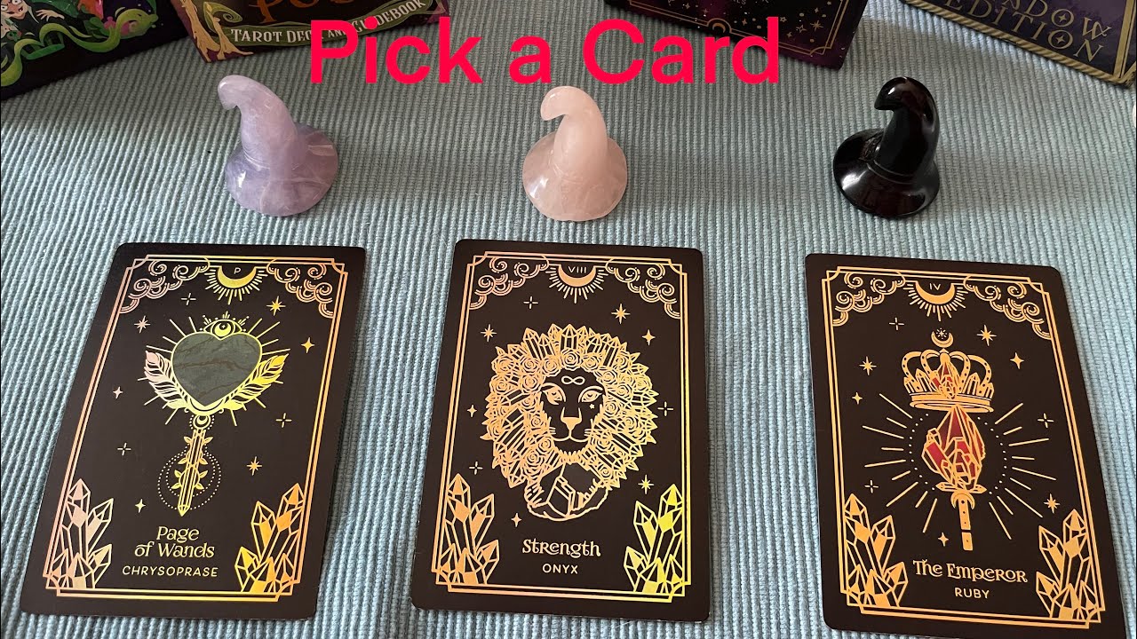 What are you currently meant to be working on - YouTube