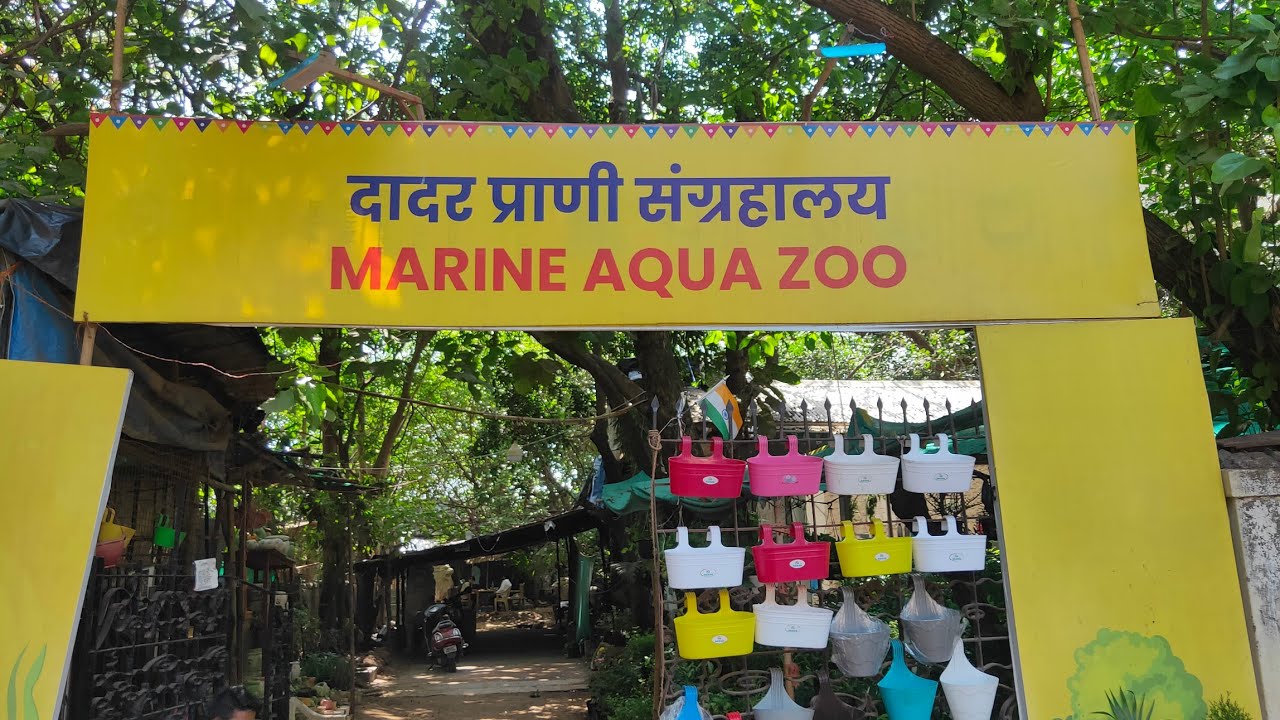 Discover the Secrets of Marine Aqua Zoo: A Fascinating World of Exotic ...