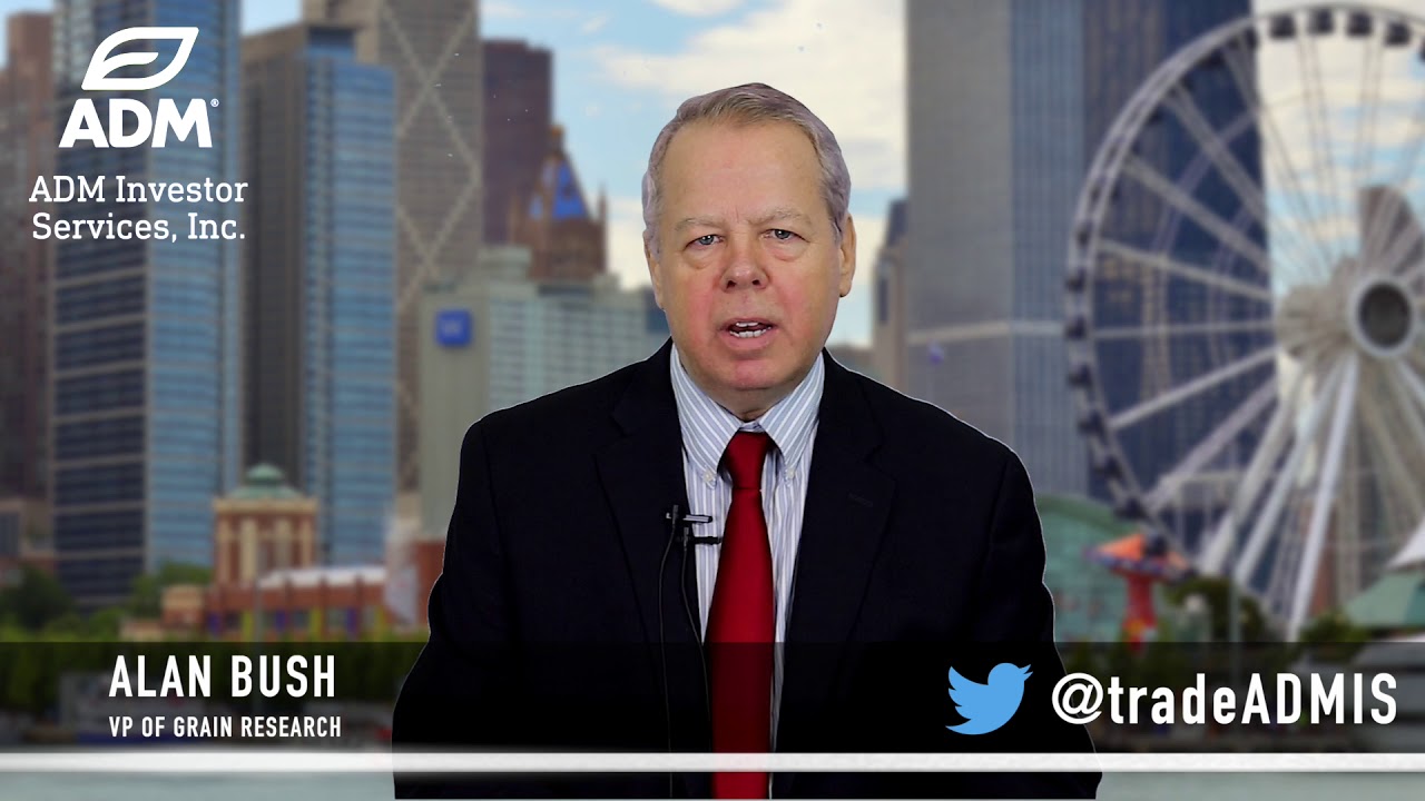 Financials Forecast Outlook by Alan Bush for Feb 11 - YouTube