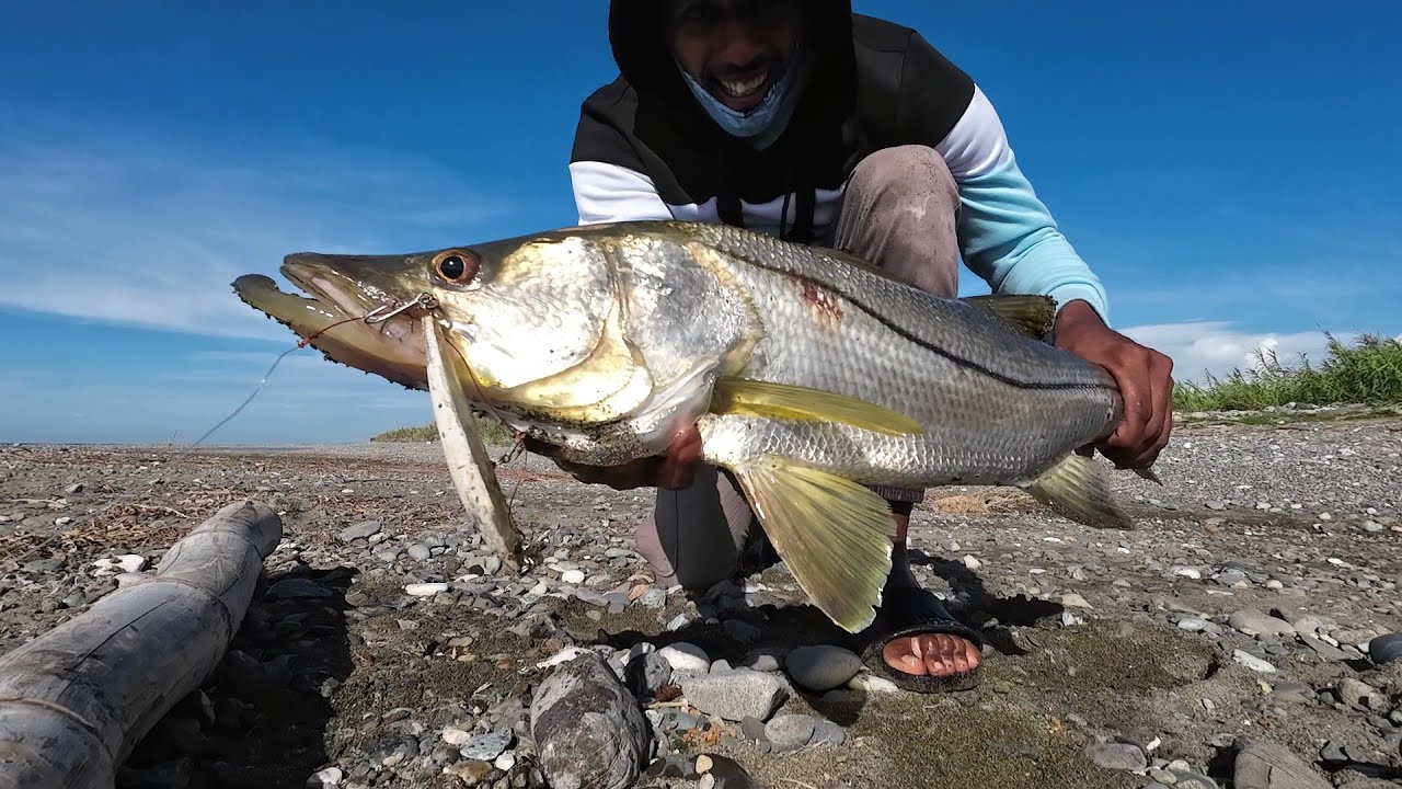 Slot Snook- Fishing In Jamaica - YouTube