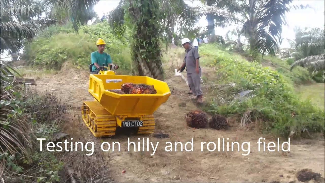 Transporter Buah Sawit, Fastrex CT02 - YouTube