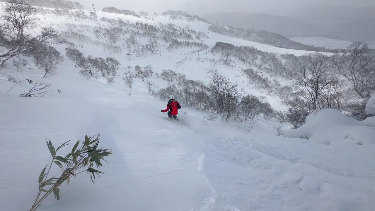 Niseko SuperRidge 'deep pow' Top To Bottom - YouTube