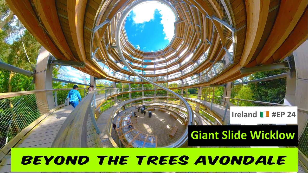 Ireland 🇮🇪 #EP 24 - Beyond the Trees Avondale | #wicklow #ireland # ...