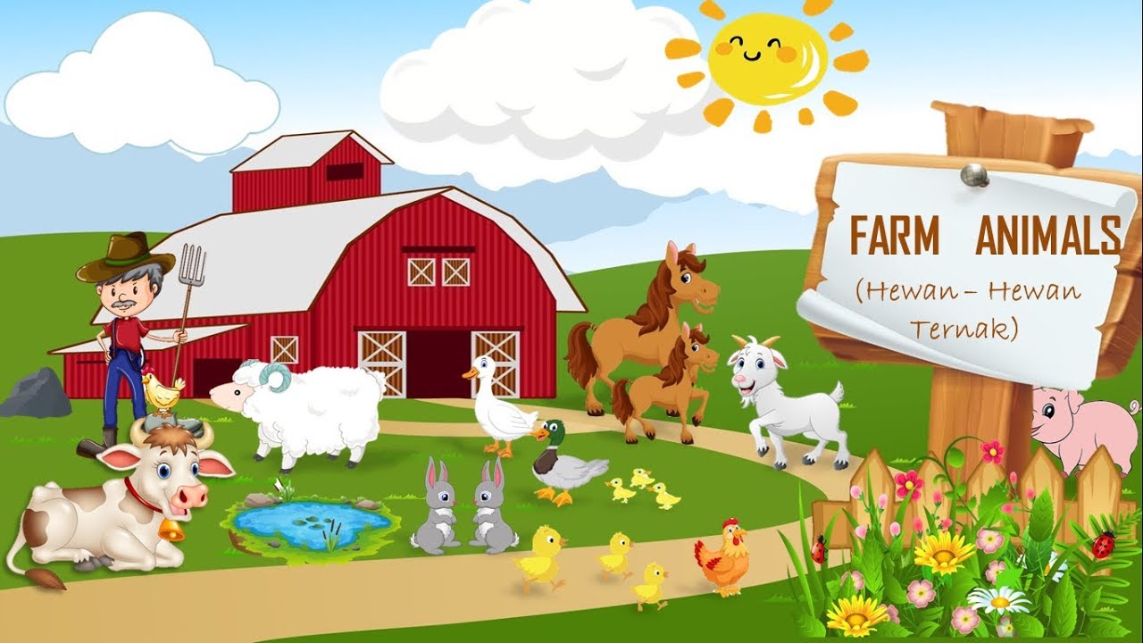 FARM ANIMALS ! Mengenal HEWAN TERNAK di sekitar kita - YouTube