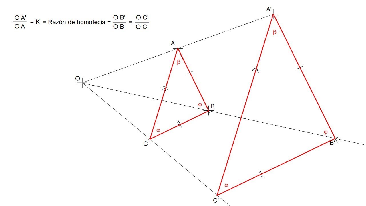 Homotecia - Definición y propiedades - YouTube