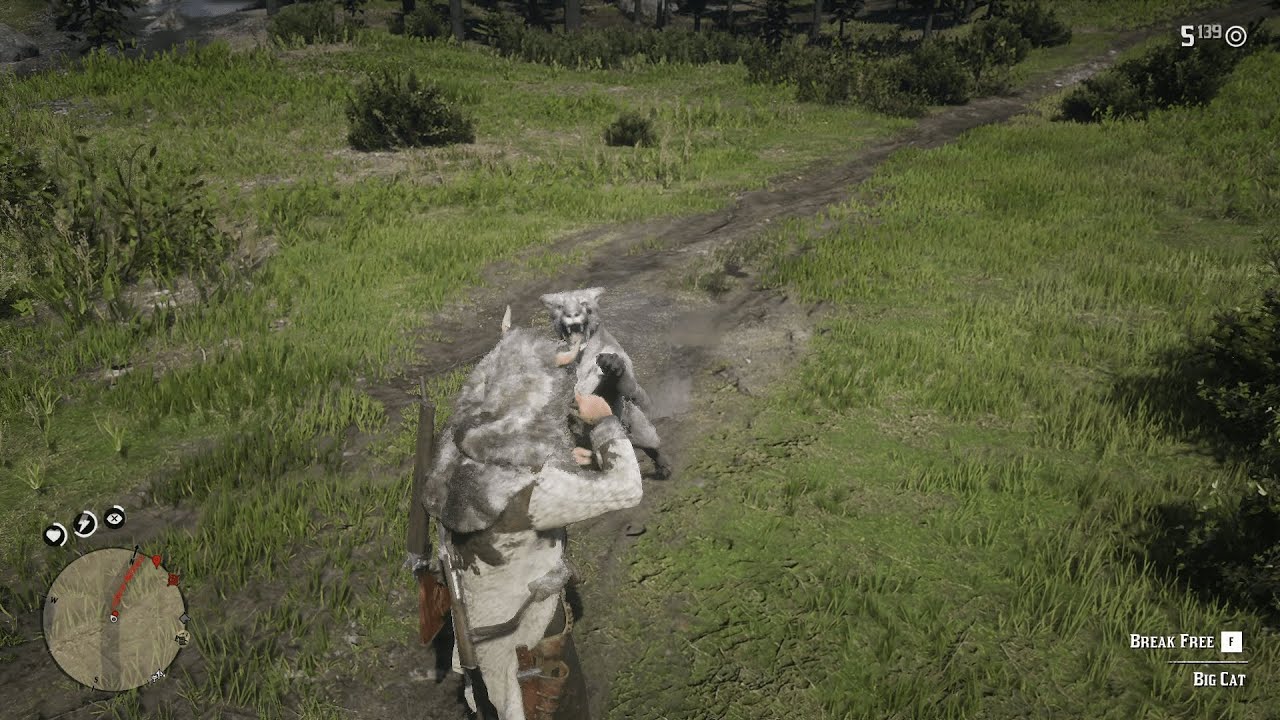 RDR2 || हिन्दी || बिग फ़ॉरेस्ट कैट द्वारा हमला किया गया || Got Attacked ...