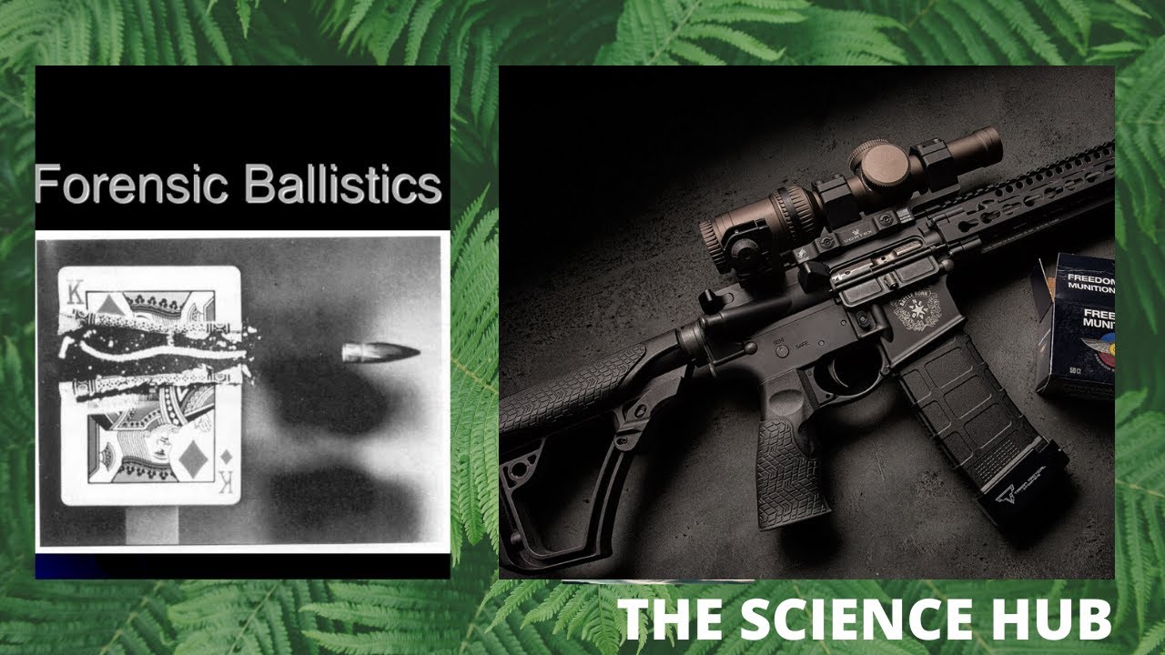Forensic Ballistic MCQs | Ballistics Quiz | Forensic Science - YouTube