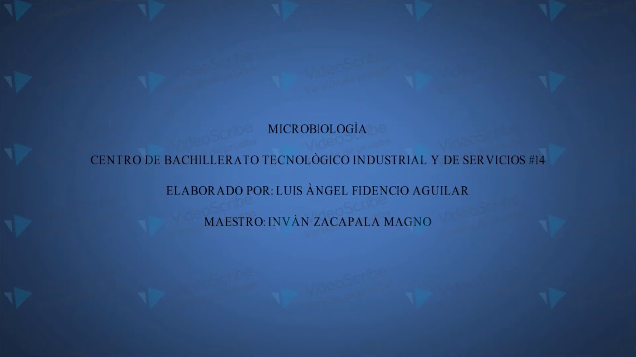 Norma 113 (Explicación) - YouTube