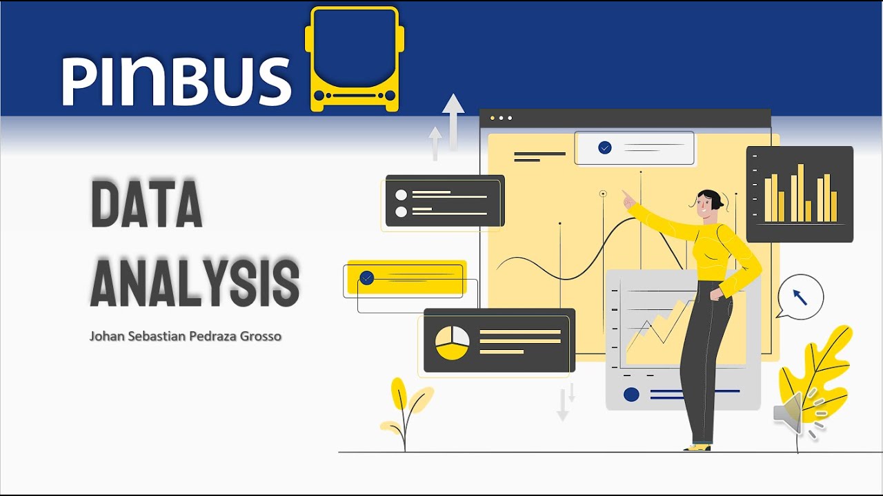 Pinbus com - Data Analysis - YouTube