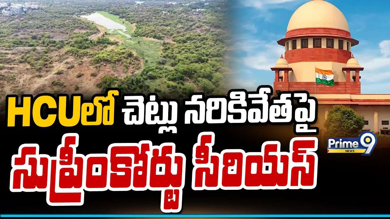 HCUలో చెట్లు నరికివేతపై సుప్రీంకోర్టు సీరియస్ | Supreme Court Serious ...