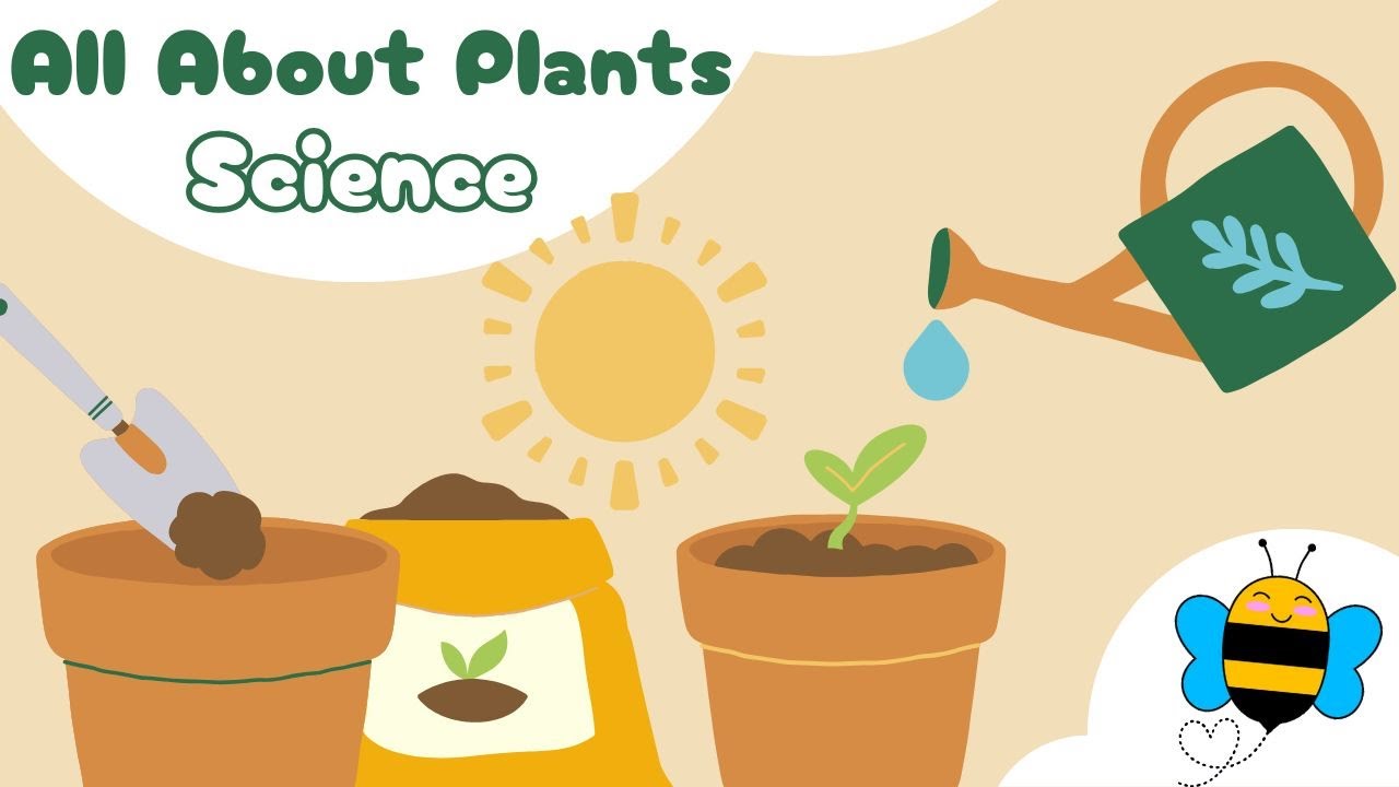 What Do Plants Need to Grow? | Science Lesson for Kids - YouTube