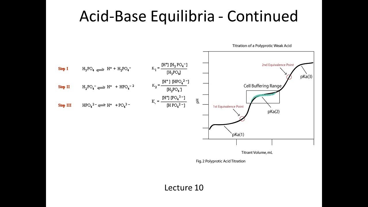Lecture 10 - Weak Acid - Base Equilibria Continued - YouTube