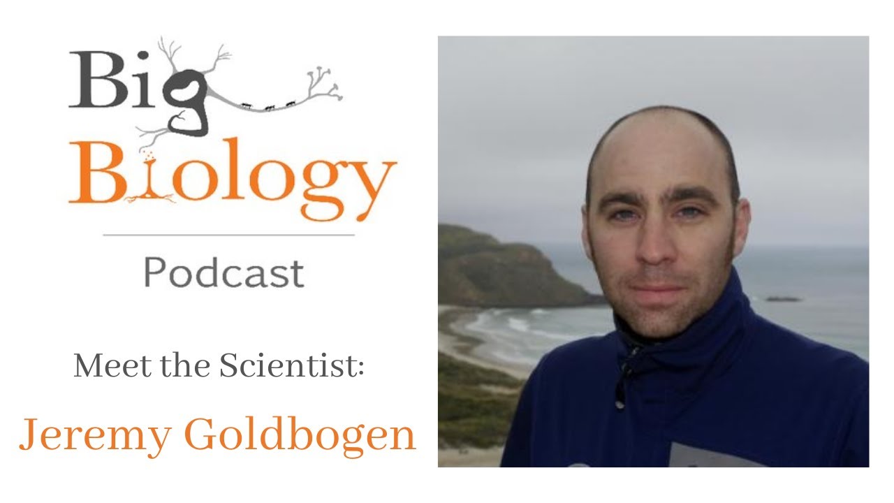 Meet the Scientist: Jeremy Goldbogen - YouTube