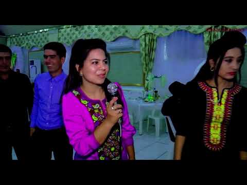 TOYLY OGULBOLSUN Toyyn dowamyndaky videolar