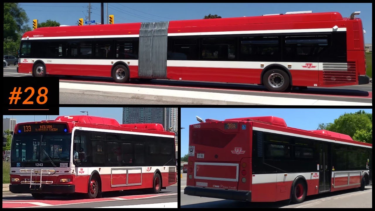 TTC Bus Compilation #28 - SCARBOROUGH - YouTube