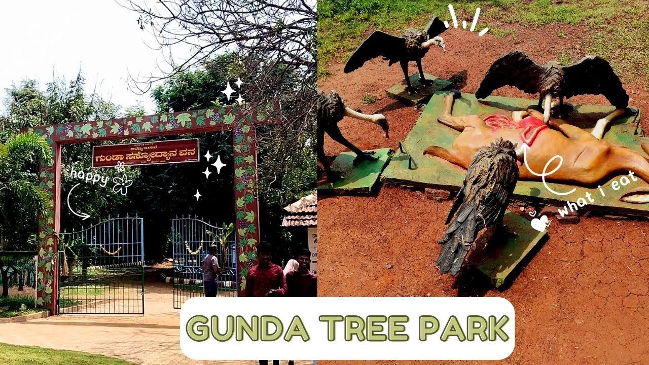 GUNDA TREE PARK||HOSAPETE!!TUNGABHADRA DAM back water view-Gunda Forest ...