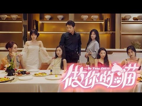 BeYourCat - PC Gameplay - YouTube