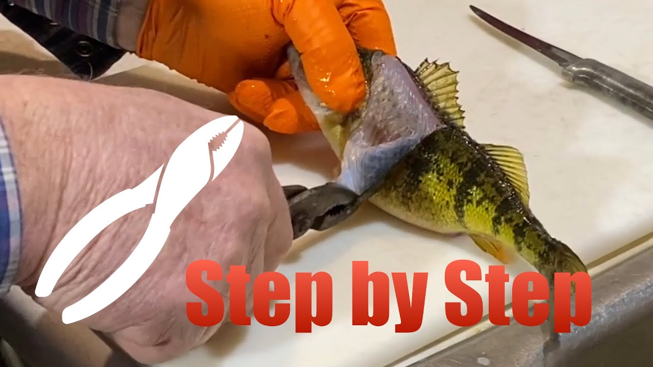 EASY Perch Filleting Trick! (Pliers Hack!) - YouTube