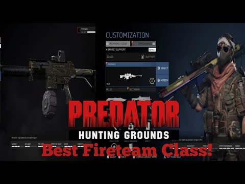 BEST Class Setup For FIRETEAM!-Predator Hunting Grounds - YouTube
