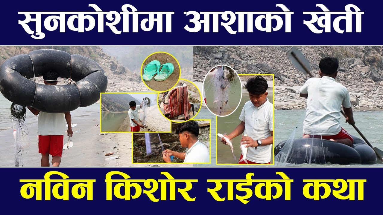 एक जालमा १५ केजी माछा, सुनकोशीमा माछा मार्ने नविन किशोर राईको कथा ...