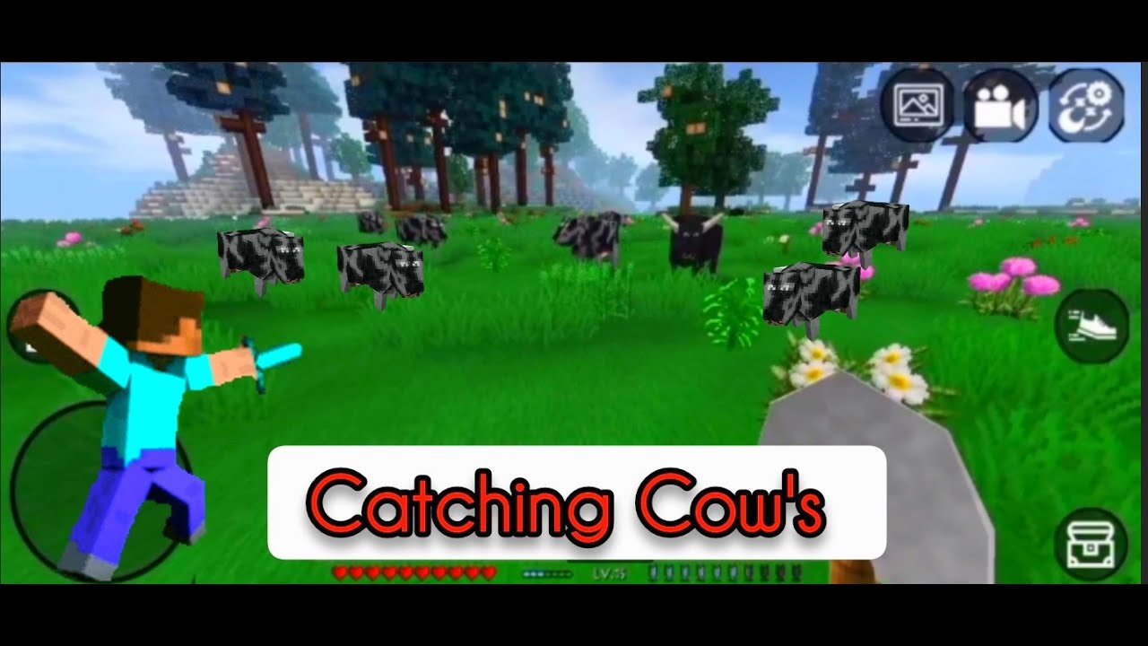Catching cows and black bull Mini block craft - YouTube