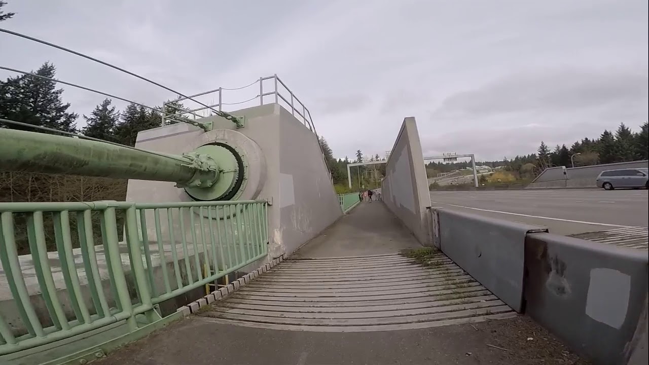 Team Twin Tigers RUNNING GIG Harbor - YouTube