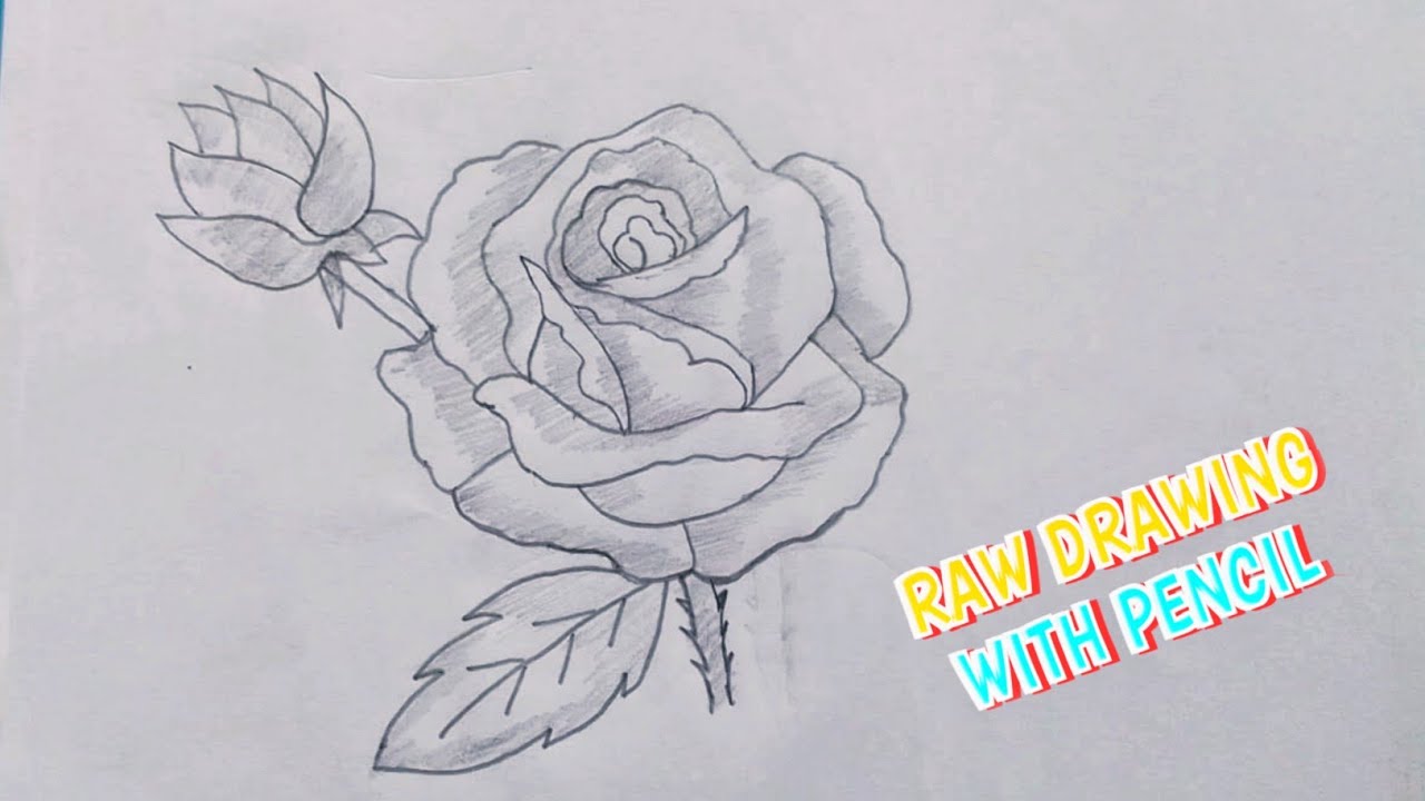 HAND MADE RAW DRAWING - ROSE 🌹 WITH PENCIL - YouTube