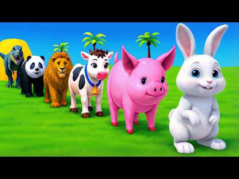 Long Slide Game With Cow Elephant Gorilla Hippopotamus Tiger 3d Animal Game Funny 3d Animals