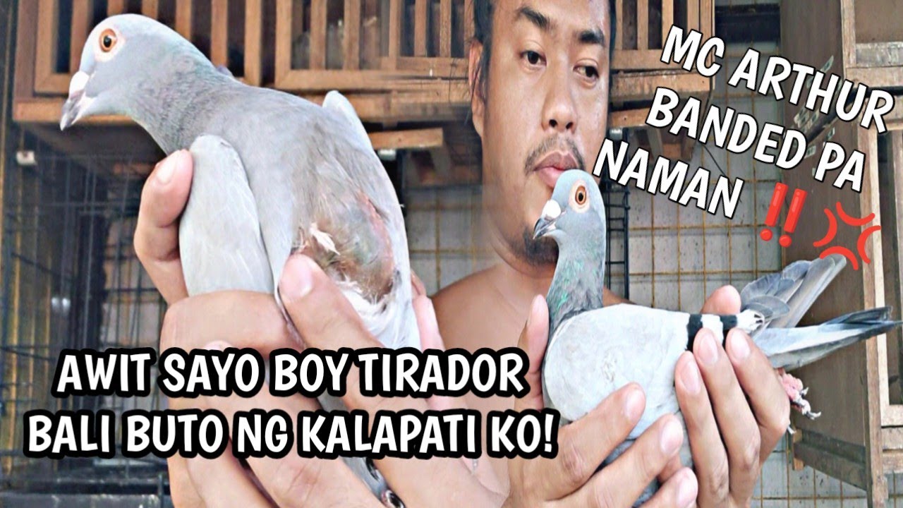 BALI PALA BUTO NG KALAPATI KONG TINIRADOR🤦 - YouTube