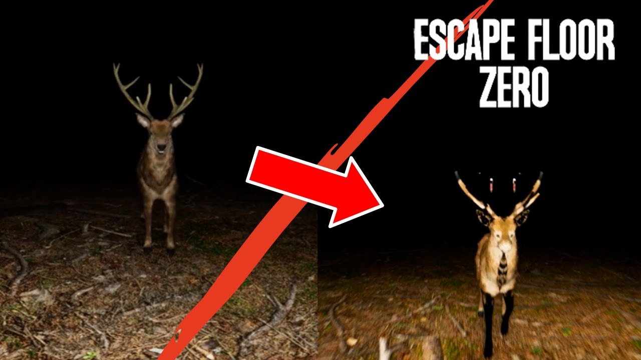 THERE IS SOMETHING EVIL IN THIS FOREST!! - ESCAPE FLOOR ZERO - YouTube