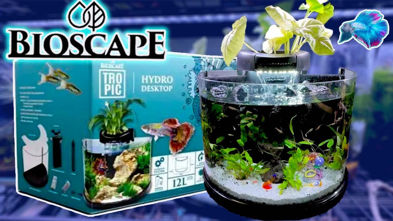 AMAZING CURVED GLASS AQUARIUM REVIEW! Bioscape Hydro Unbox / Aquascape! - YouTube