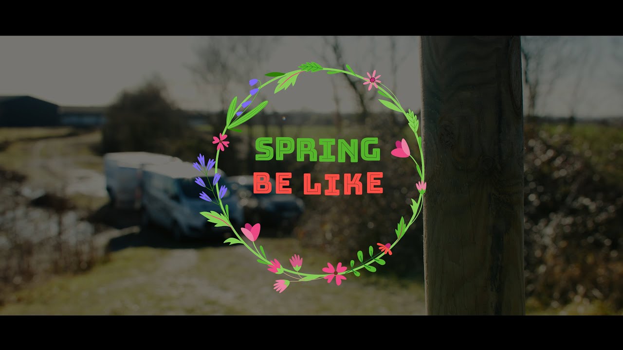 🌿 Spring Be Like... - YouTube
