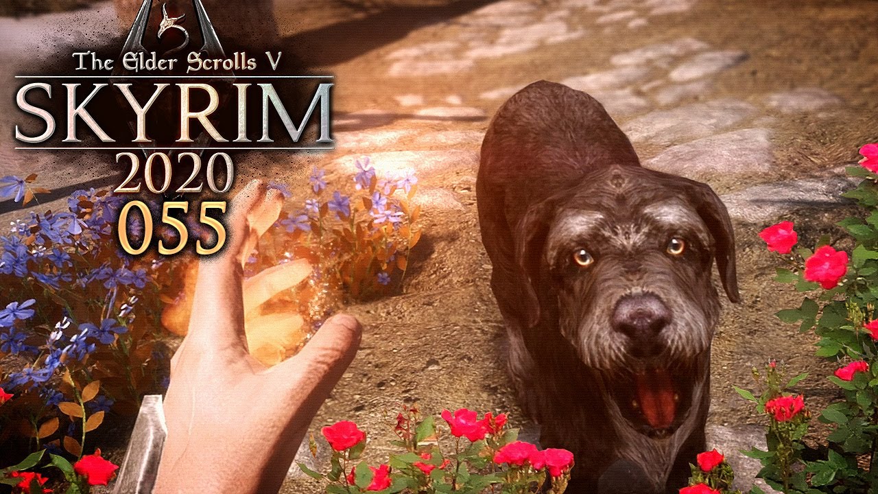 SKYRIM 2020 🐉 055: Hunde, die sprechen, laufen nicht! (feat. Buck Bundy ...